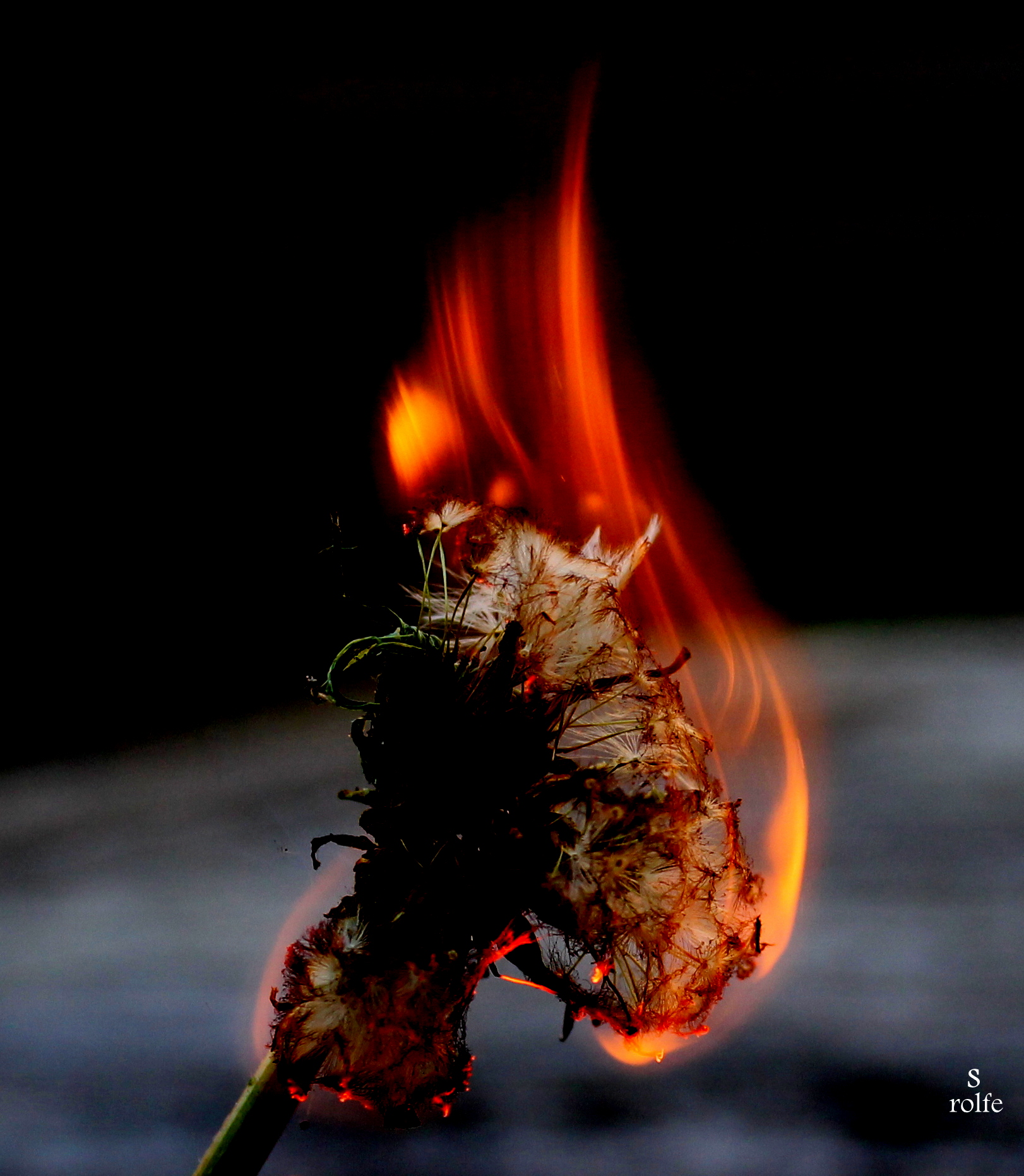 firedandy9 - Steve Rolfe Photography